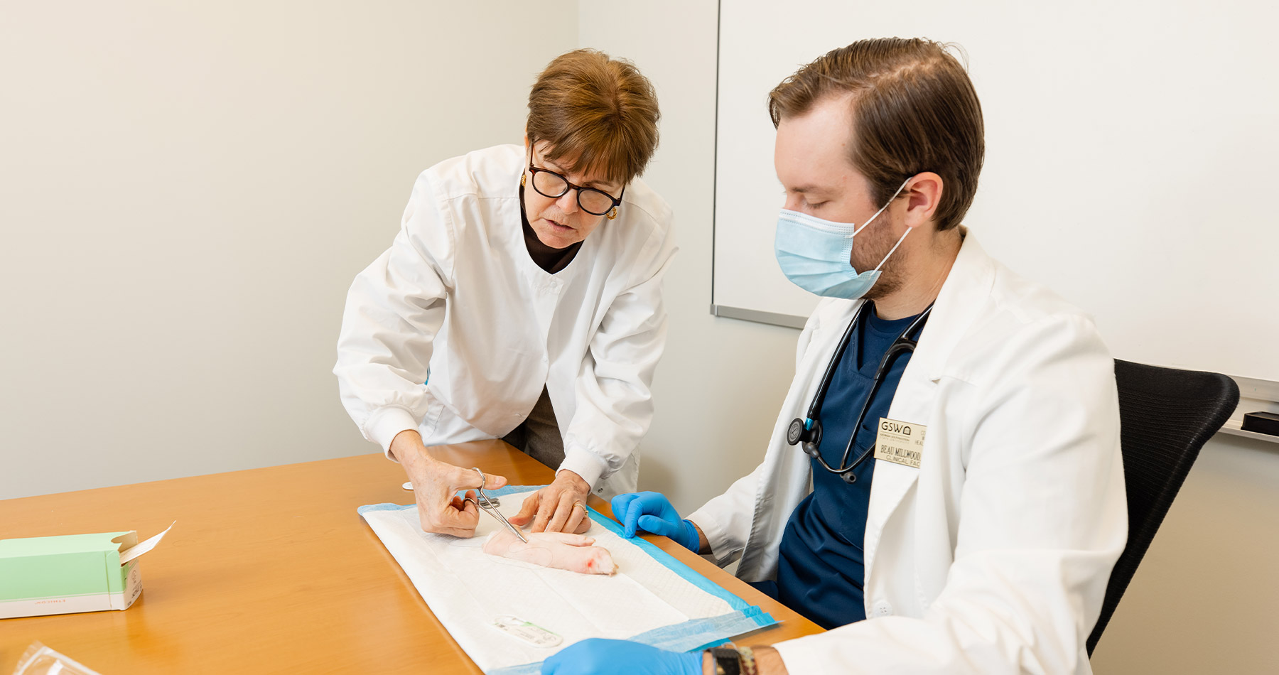 Master of Science in Nursing (MSN) | Georgia Southwestern State University