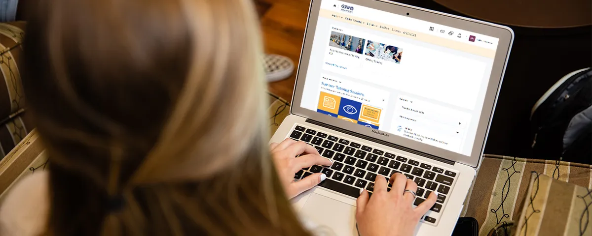 GeorgiaVIEW & GoVIEW | Georgia Southwestern State University